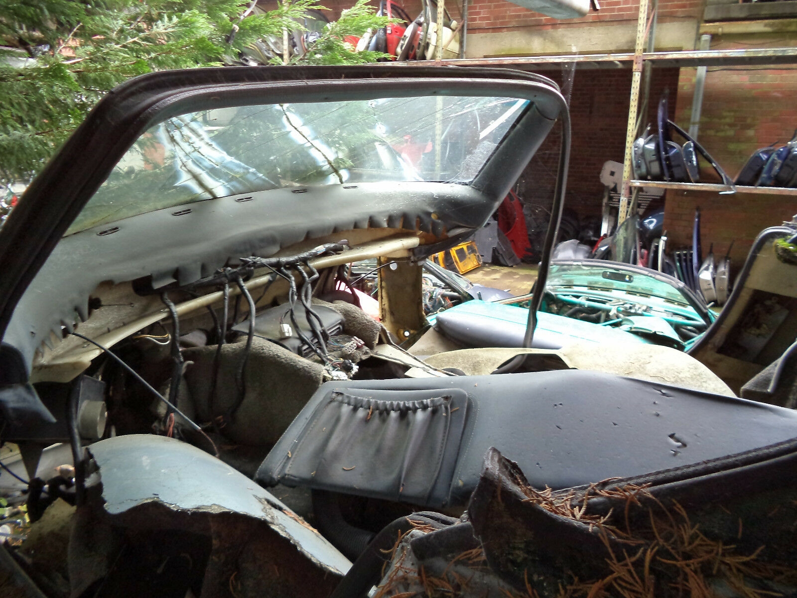 TVR CHIMAERA MK1 REAR END CUT