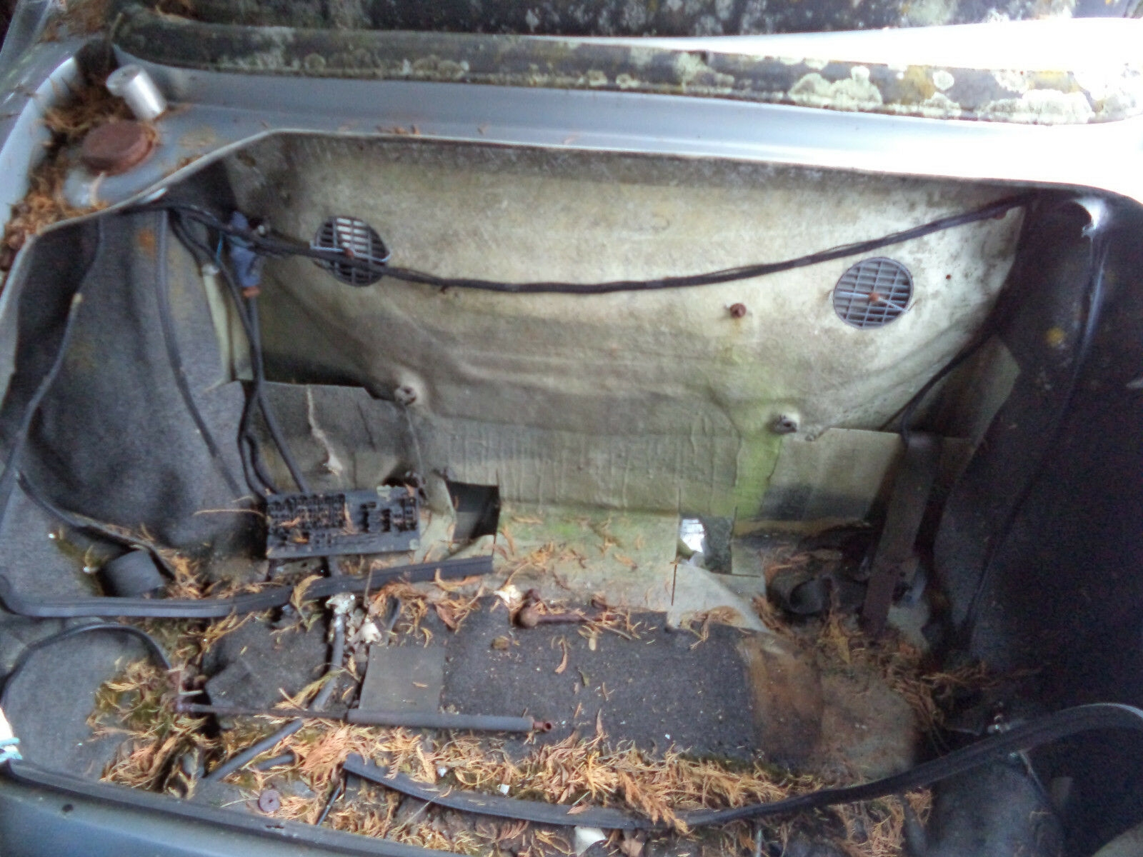 TVR CHIMAERA MK1 REAR END CUT